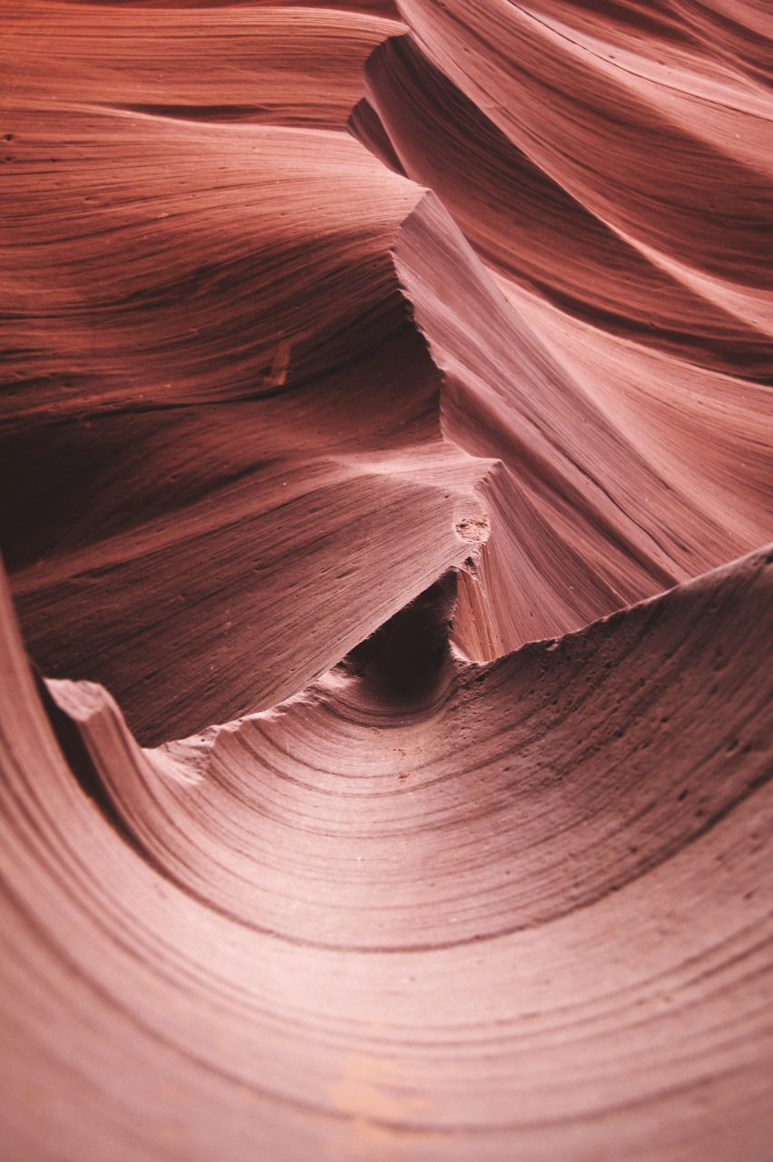 Passion, tenderness and purity combine in the new RED REVELATION ...